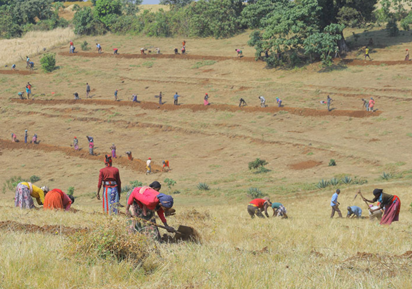 Nature Positive Food Systems for Climate Adaptation by Canadian ...