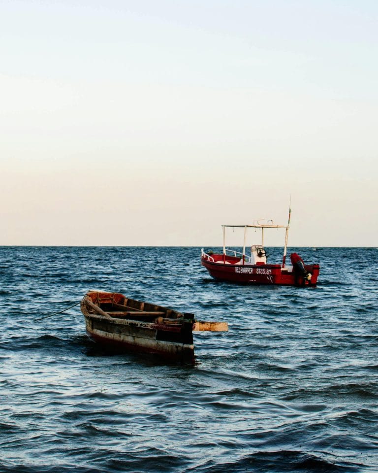 NAbSA – NAture-based Solutions for climate Adaptation: Monitoring ...