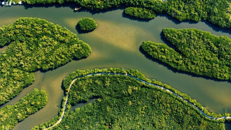 NAbSA – NAture-based Solutions for climate Adaptation: Monitoring ...