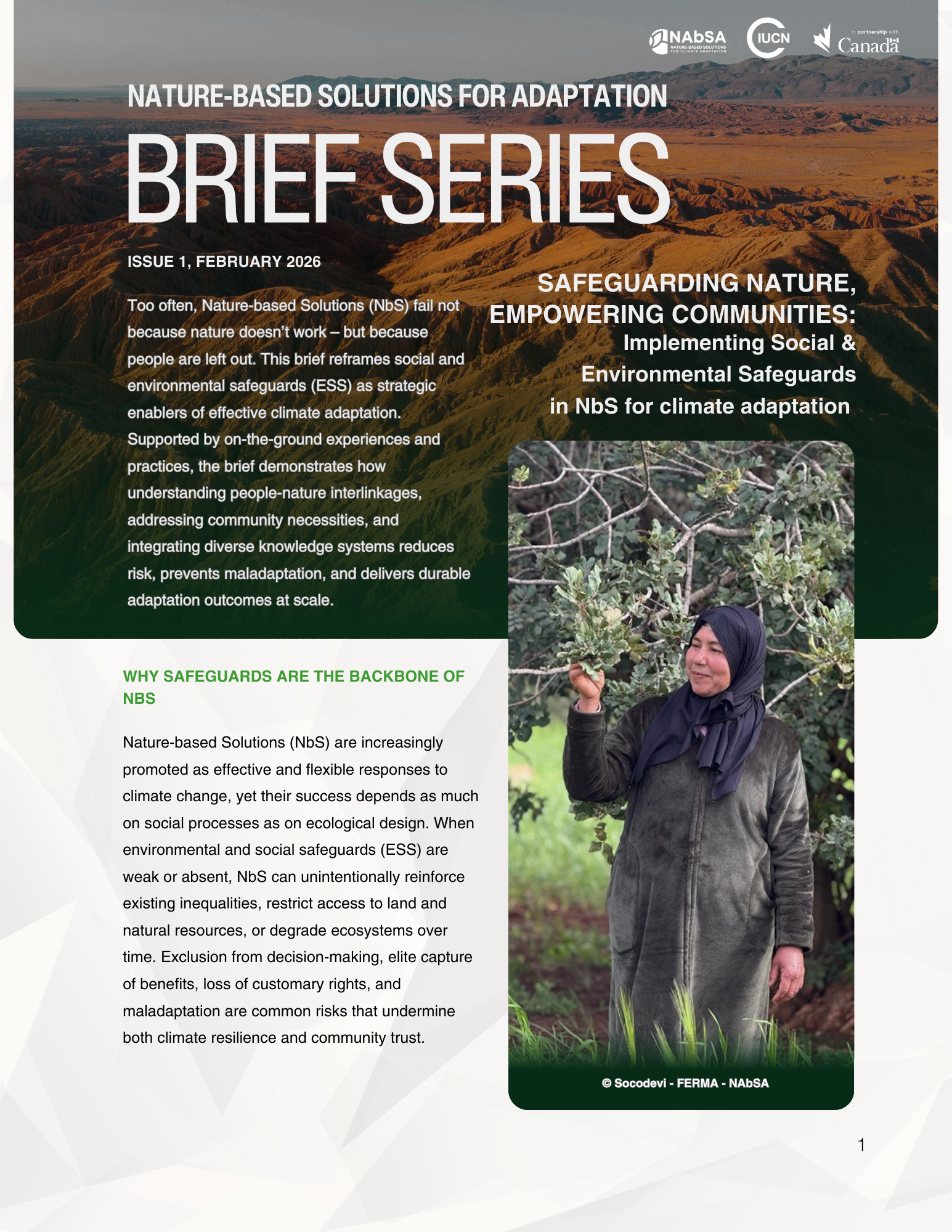 Resources – NAbSA